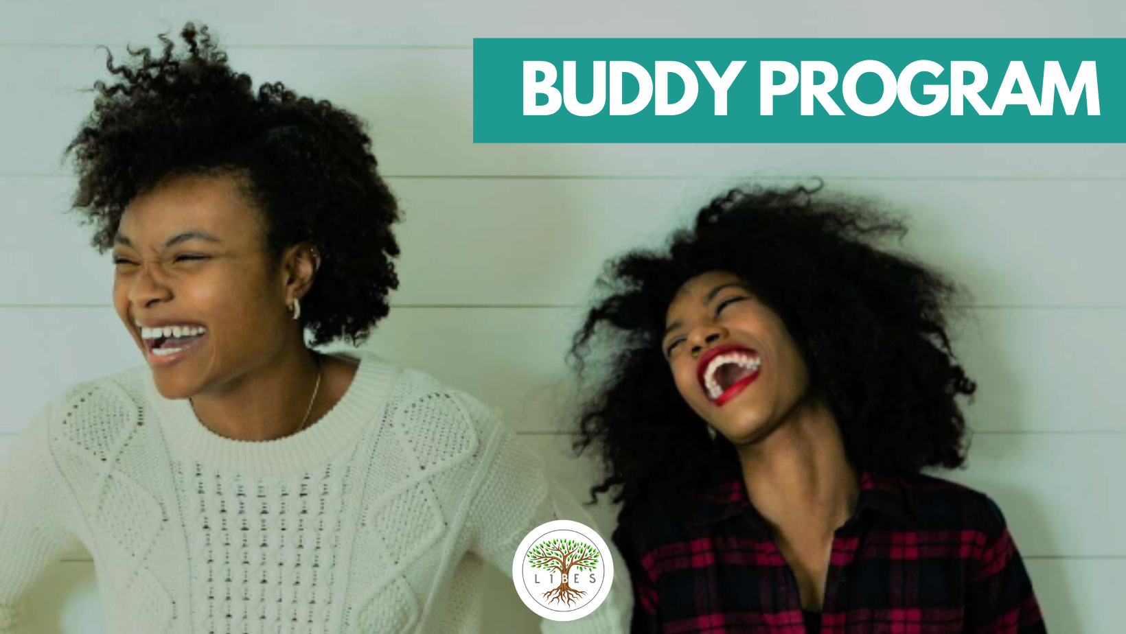 BUDDY PROGRAM | mentoring programs for victims of human trafficking ...